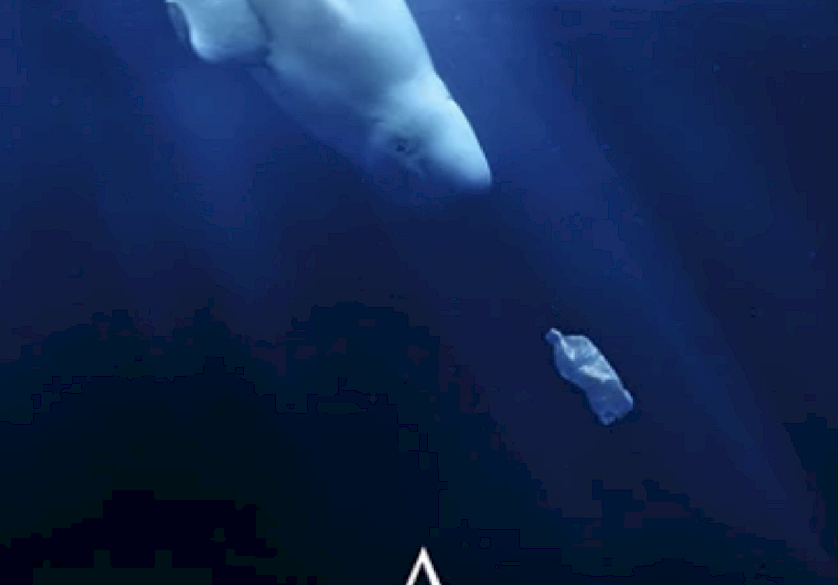 A Plastic Ocean Film Screening