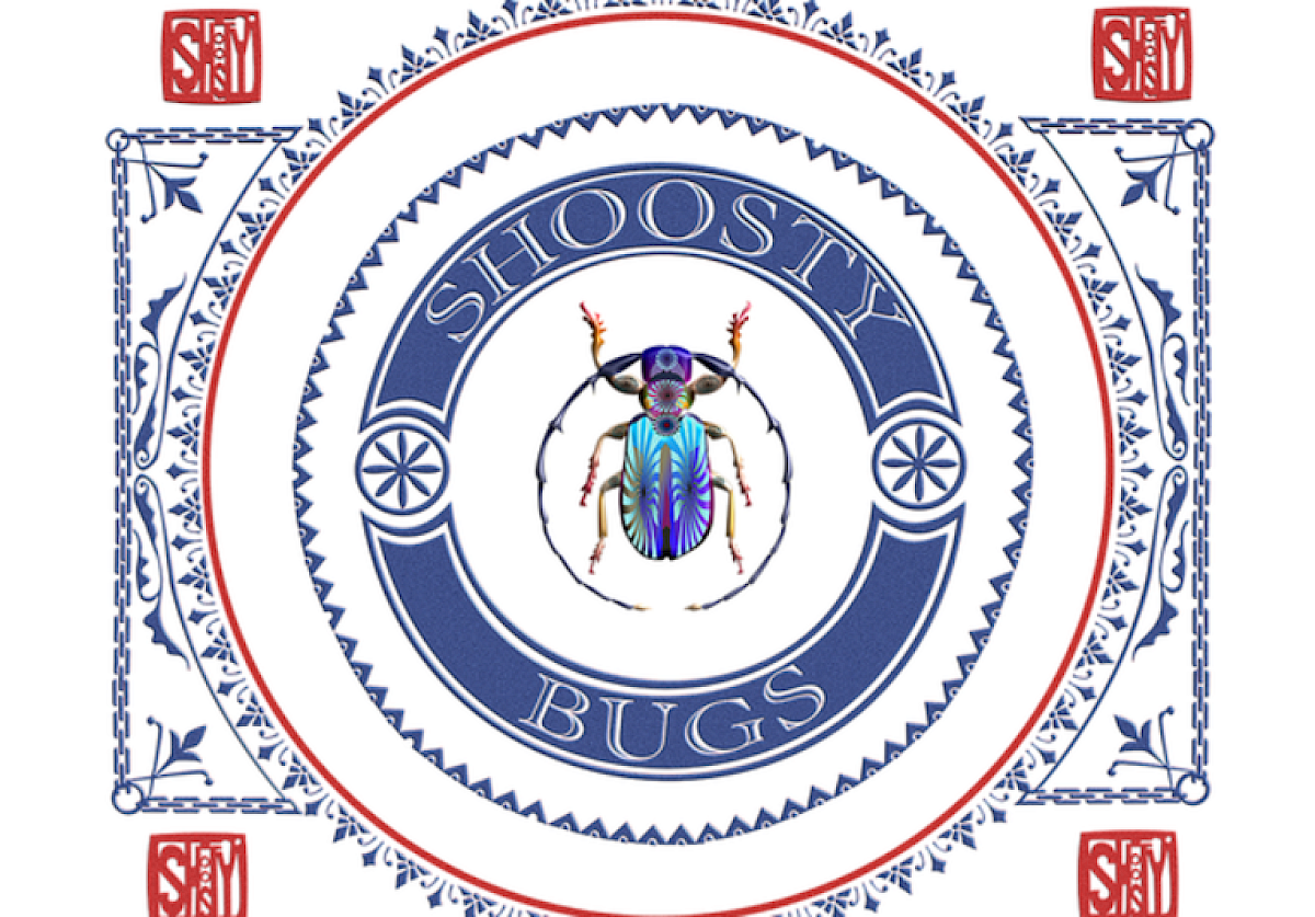 Shoosty Bugs: An Art Infestation